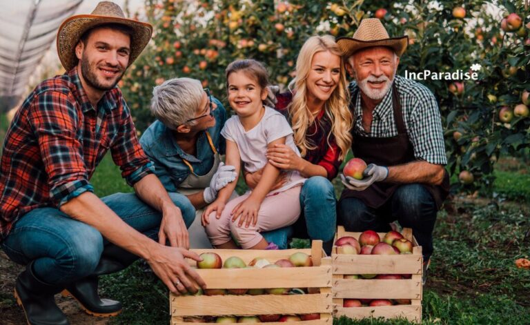 Family LLC: All You Need to Know | IncParadise